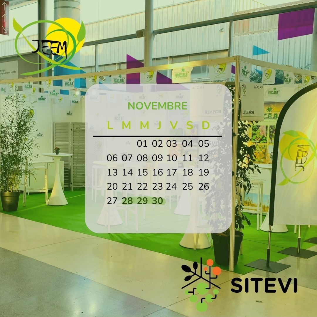 SITEVI 2023 - JEEM